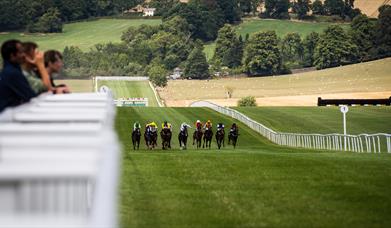 Chepstow Racecourse - Racecourse in Chepstow, Chepstow - Visit ...