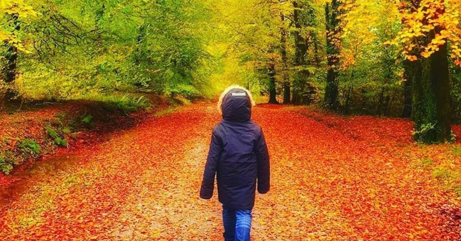 Family Friendly Walks - Visit Monmouthshire