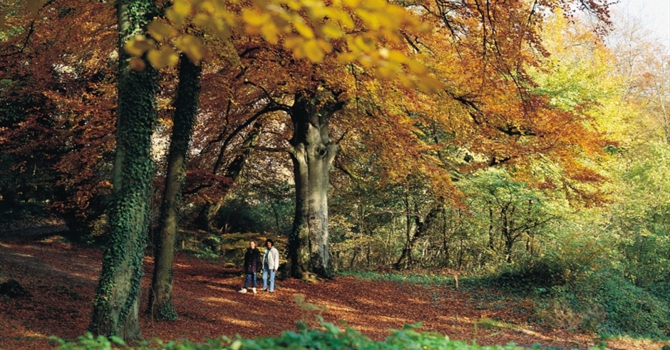 Autumn walks in Monmouthshire - Visit Monmouthshire