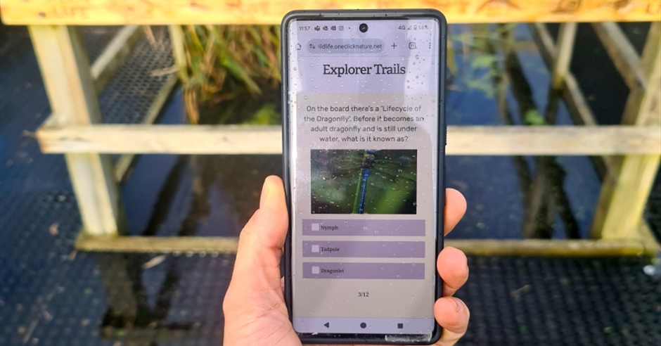 New digital nature trail at Magor Marsh - Visit Monmouthshire