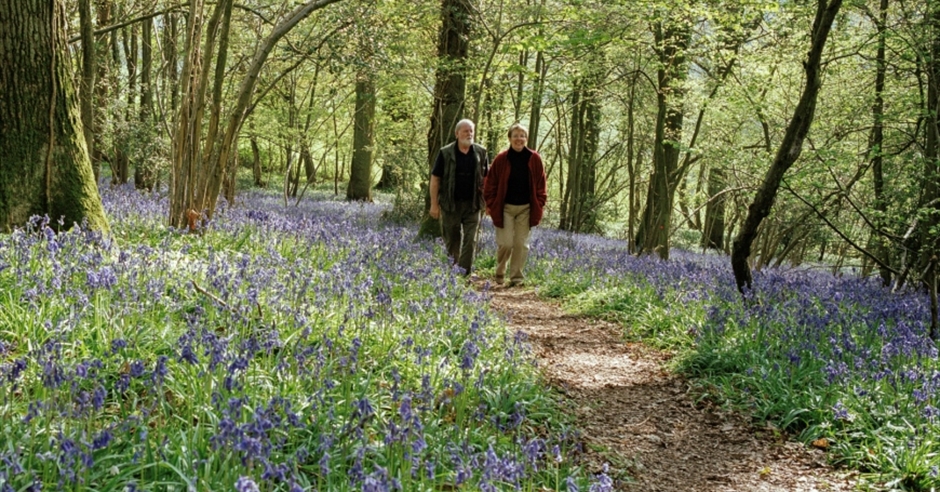 Short Walks in Monmouthshire - Visit Monmouthshire