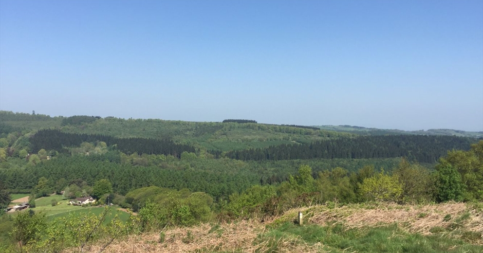 Monmouthshire Guided Walk - Gray Hill and Wentwood - Guided Walk in ...