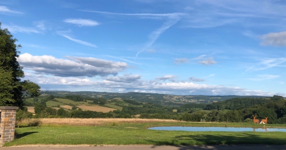 April House Garden - Garden in Usk, Usk - Visit Monmouthshire