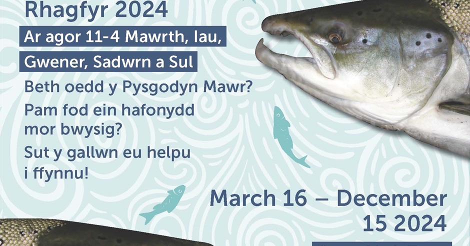 The Big Fish exhibition - Exhibition in Abergavenny, Abergavenny ...