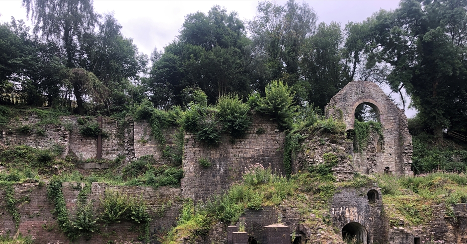 Monmouthshire Guided Walk - The wonders of the Clydach Gorge - Guided ...