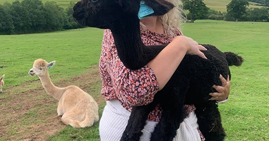 Cute Farm Experience - Farm in Chepstow, Chepstow - Visit Monmouthshire