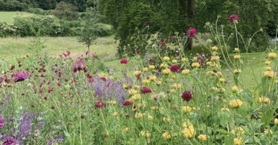 Cwm Farm & Long Owl Barn Open Gardens - Open Gardens in Usk, Usk ...