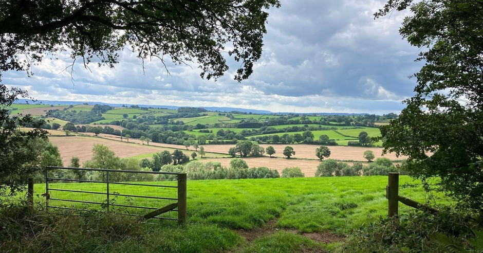Foraging Workshop with Freya Rimington - Foraging in Norton Skenfrith, Abergavenny - Visit ...