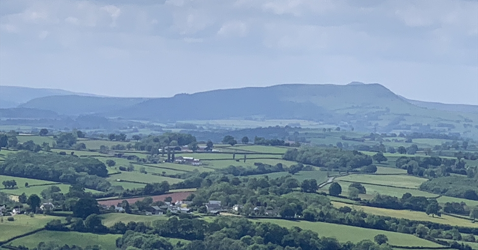 Buckholt Wood and Hillfort - Forest or Woodland in Monmouth, Monmouth ...