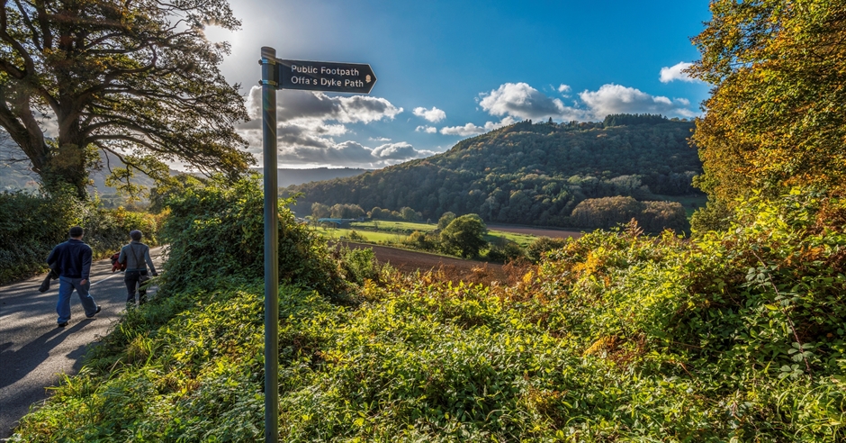 Redbrook to Bigsweir Bridge Circular - Wye Valley 50th Anniversary Walk ...