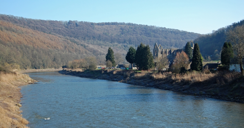 Health Walk - Tintern Walk - Walking Route in Tintern, Tintern - Visit ...
