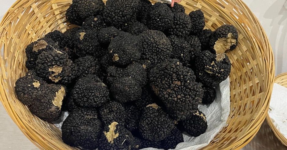 The Welsh Truffle Company - Online Shopping in Near Usk, Usk - Visit ...