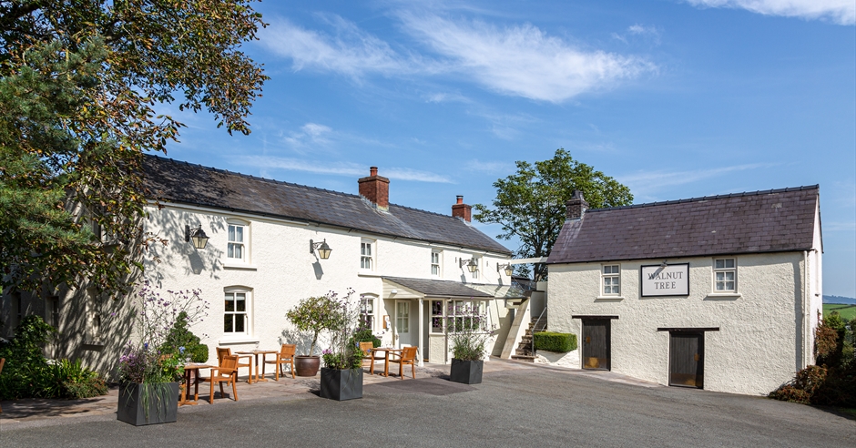 The Walnut Tree - Restaurant in Abergavenny, Abergavenny - Visit ...