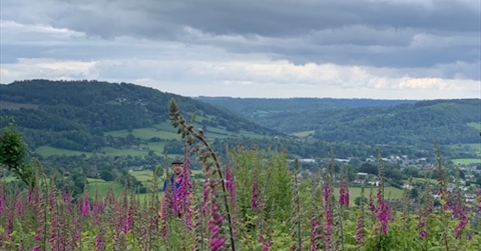Bracken Bashing - Outdoor Event in Monmouth, Monmouth - Visit Monmouthshire