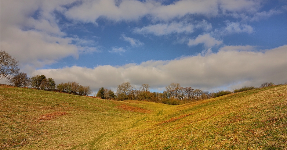 Springdale Farm Nature Reserve - Nature Reserve in Usk, Usk - Visit ...