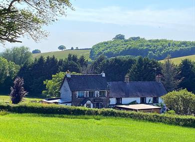 Greyhound Inn & Hotel - Inn in Nr. Usk, Usk - Visit Monmouthshire