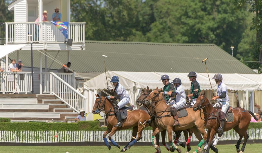 Ham Polo Club - Leisure Centre in Richmond, Richmond - VisitRichmond
