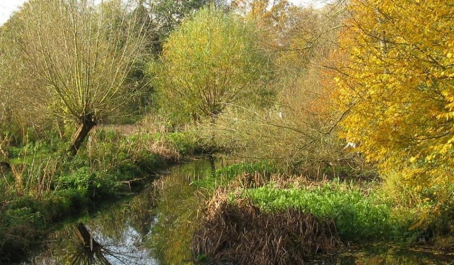 Crane Park - Park in Whitton, Twickenham - VisitRichmond