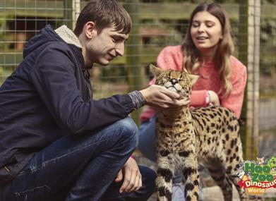 Hoo Zoo & Dinosaur World - Animal Attraction in Telford, Telford and ...