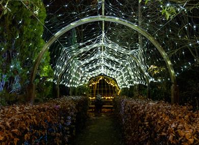 Festive Gardens - Christmas in Telford, Telford and Wrekin - Visit Telford