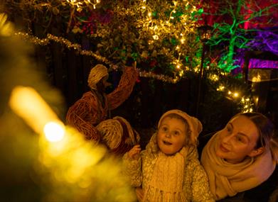 Festive Gardens - Christmas in Telford, Telford and Wrekin - Visit Telford