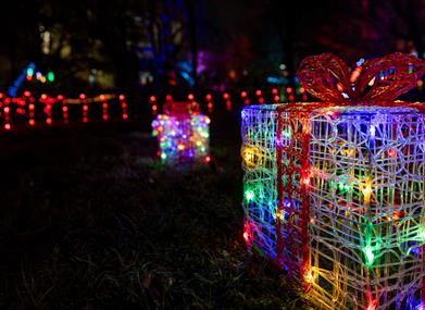 Festive Gardens - Christmas in Telford, Telford and Wrekin - Visit Telford