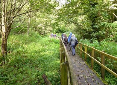 Telford Walk Week 2025 - Health & Wellbeing in Telford, Telford and ...