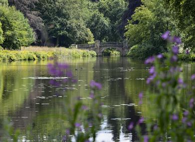 Weston Park House & Gardens - Historic House / Palace in SHIFNAL ...
