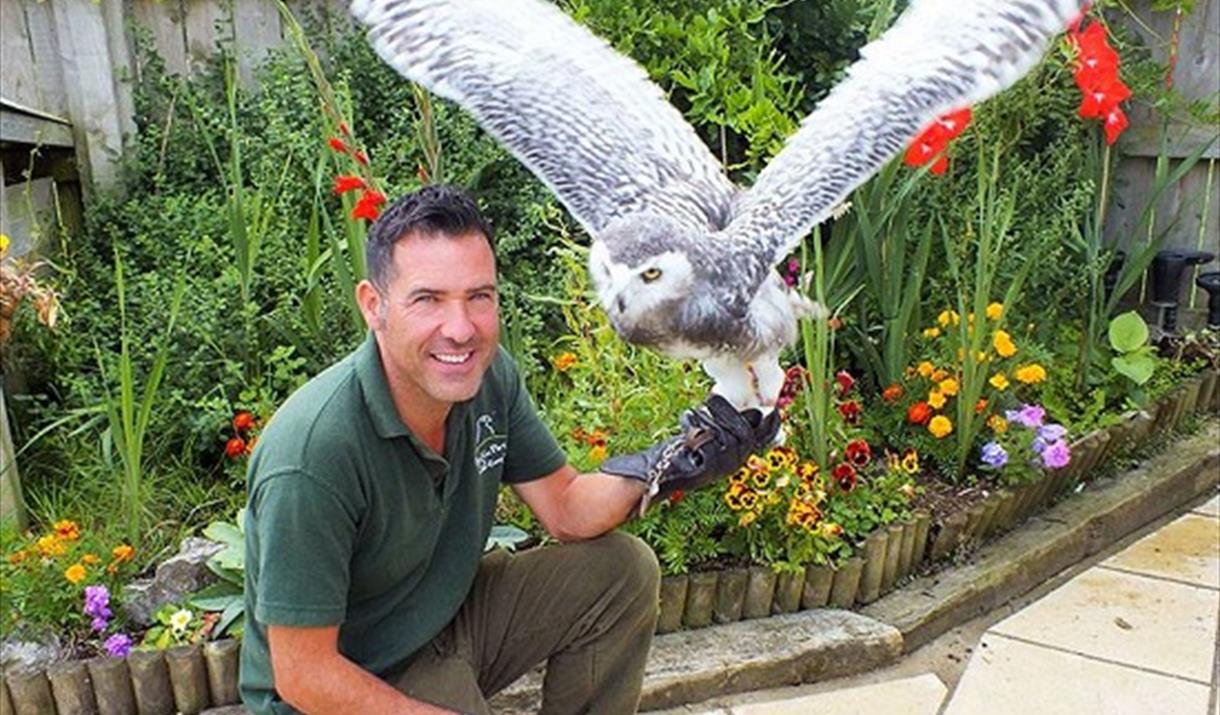 Conservation with Gary the Falconer and his Team at Puxton Park - Visit ...
