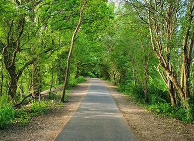 The Cuckoo Trail - Nature Trail in Polegate - Wealden