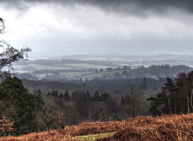 Ashdown Forest - Country Park in Forest Row, Forest Row - Wealden