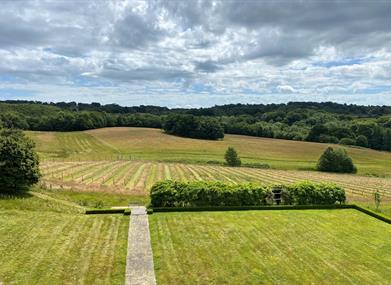 Coes Farm - Vineyard in Rotherfield , Wealden - Wealden