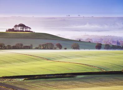 Visit Wiltshire - Official Wiltshire Tourist Information Site
