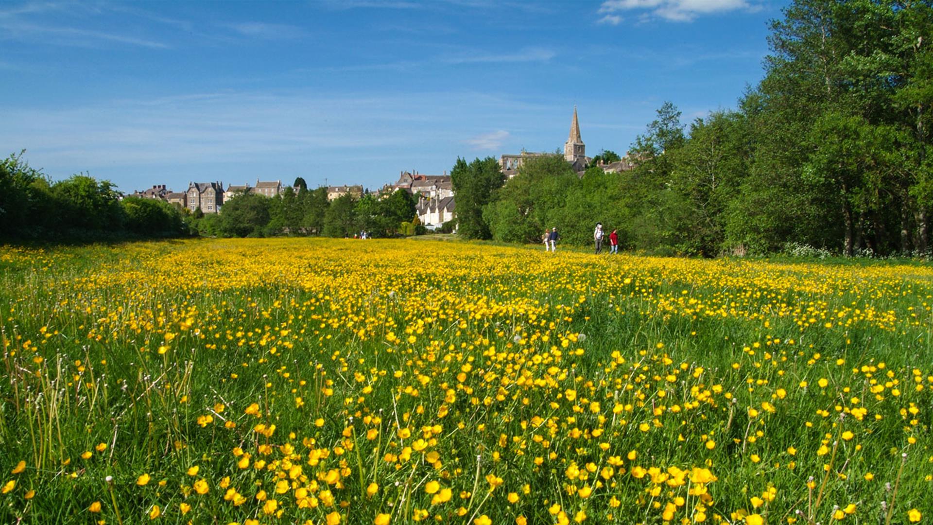 Visit Wiltshire - Official Wiltshire Tourist Information Site