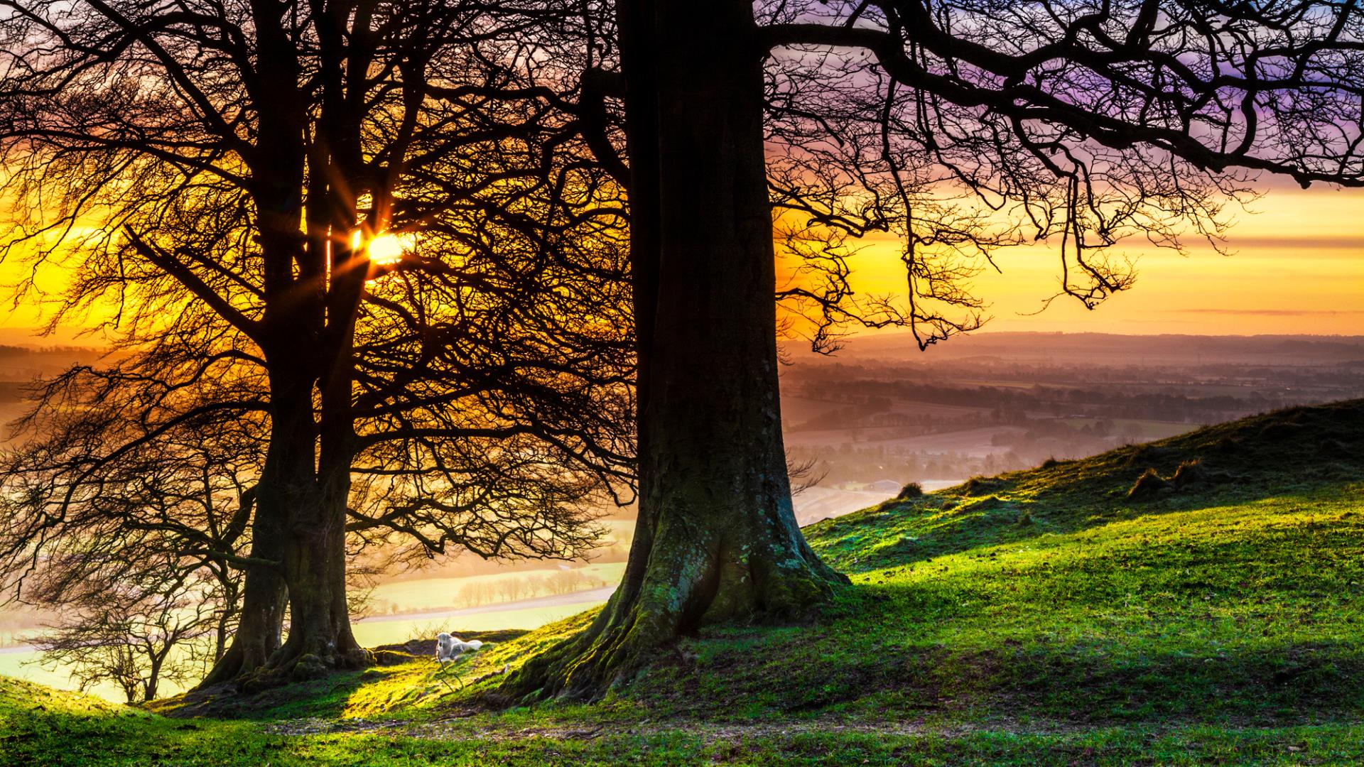 Visit Wiltshire - Official Wiltshire Tourist Information Site