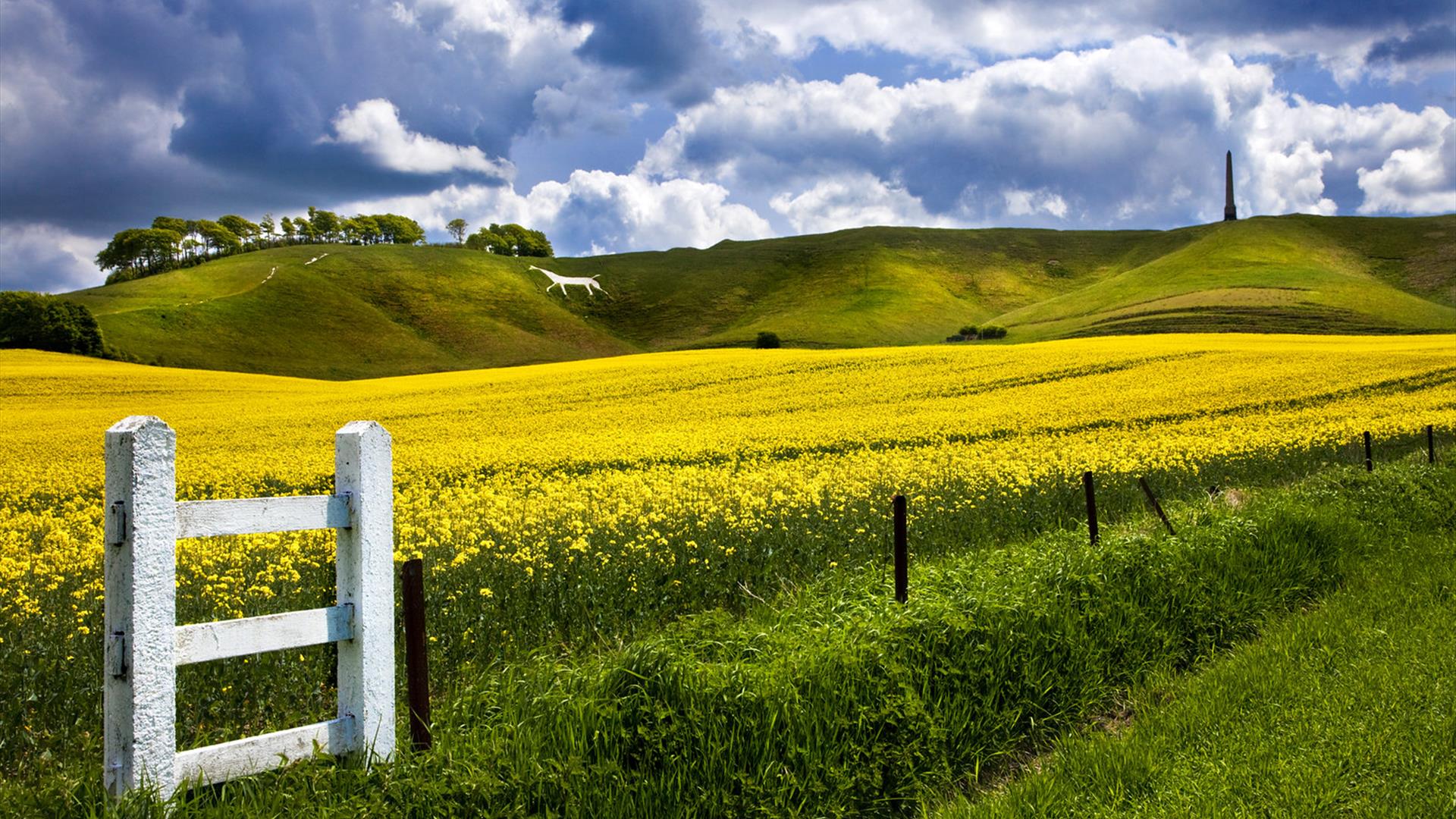 Wiltshire's White Horses | Chalk Horse Wiltshire