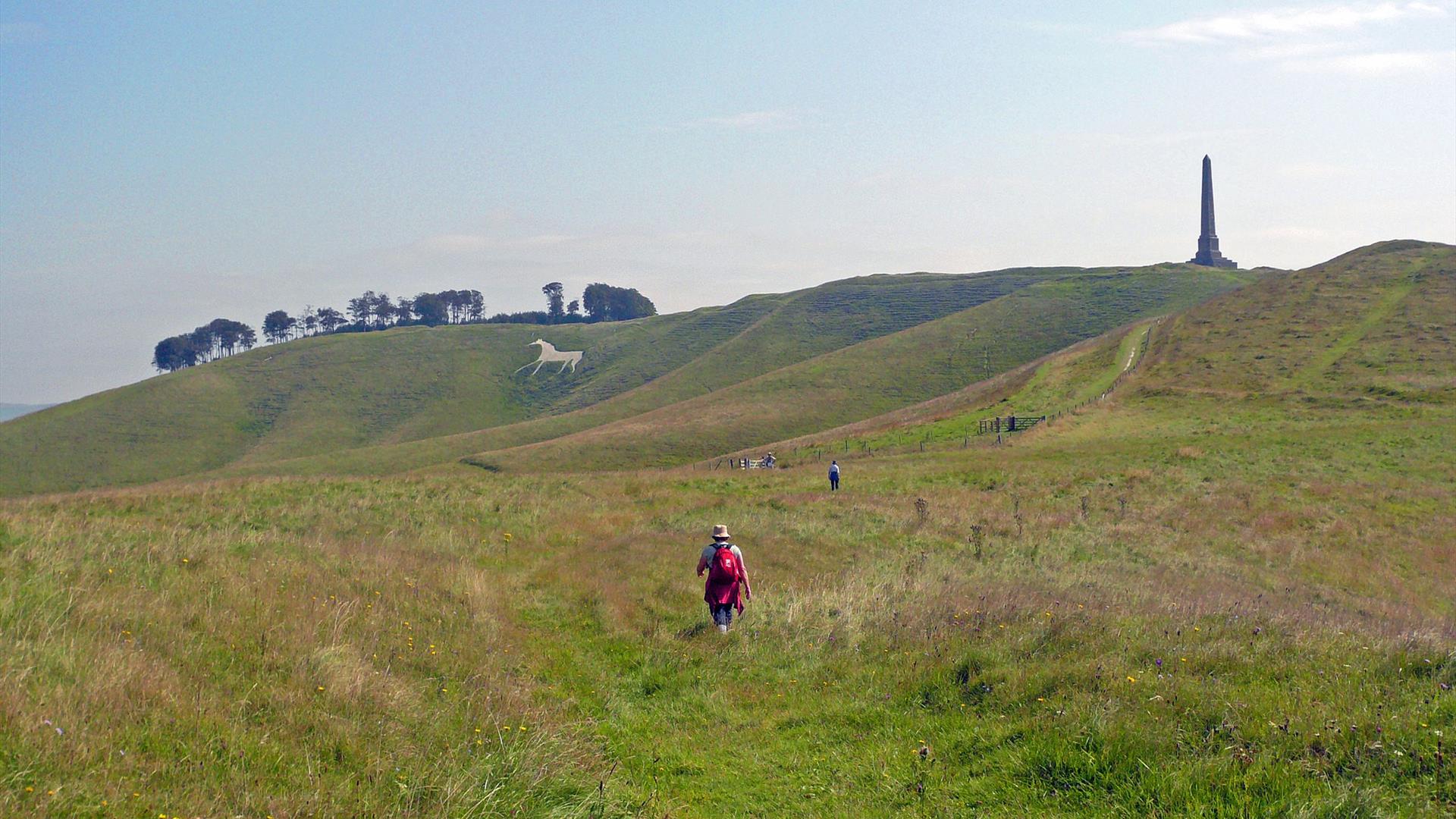 Walking in Wiltshire incl. Pewsey Walks, White Horse Trail