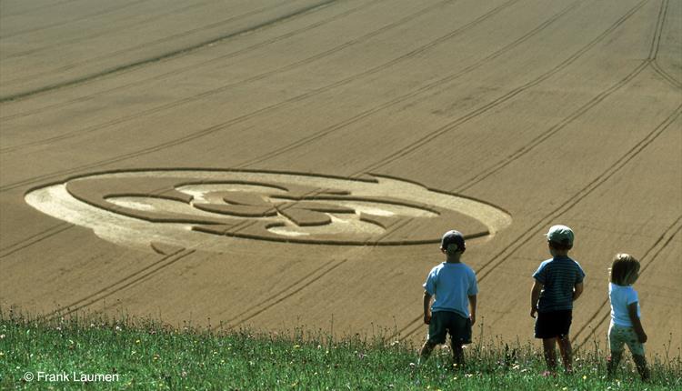 crop circle devizes