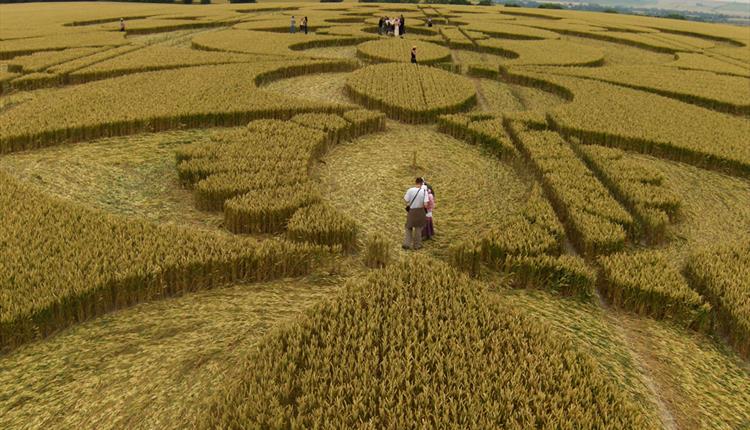 crop circle devizes