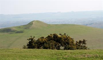 Vale of Pewsey - Village - Visit Wiltshire