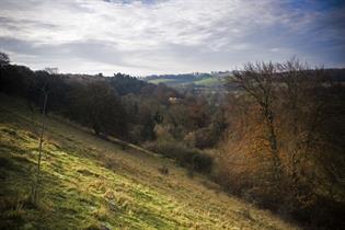 Wiltshire Wildlife Trust - Visit Wiltshire
