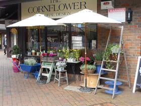 Warminster - Market Town - Visit Wiltshire