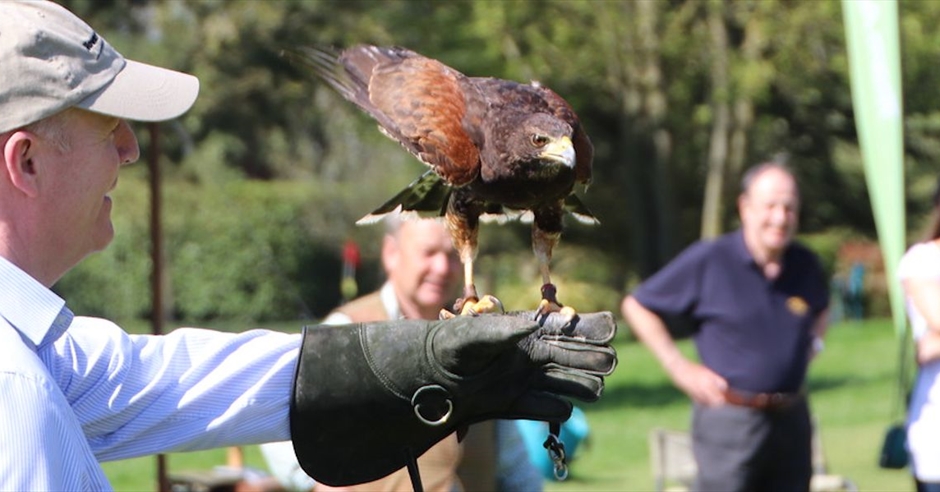 Events Calendar Page - Visit Windsor