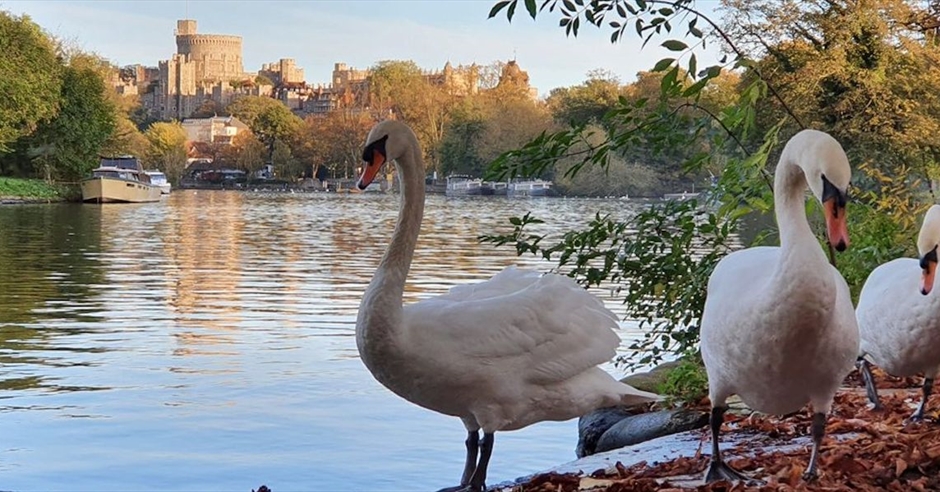 Events Calendar Page - Visit Windsor