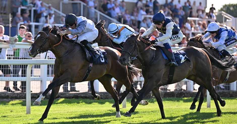 Monday Night Racing at Royal Windsor Racecourse - Visit Windsor