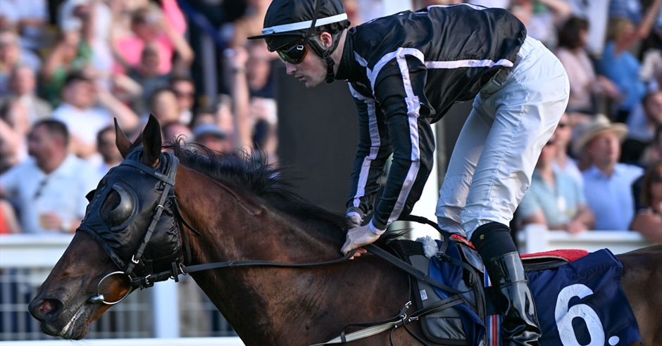 Royal Windsor Racecourse - Visit Windsor