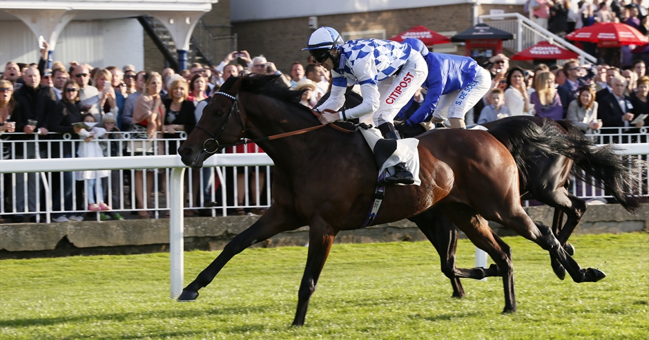 Final Fiesta at Royal Windsor Racecourse - Visit Windsor
