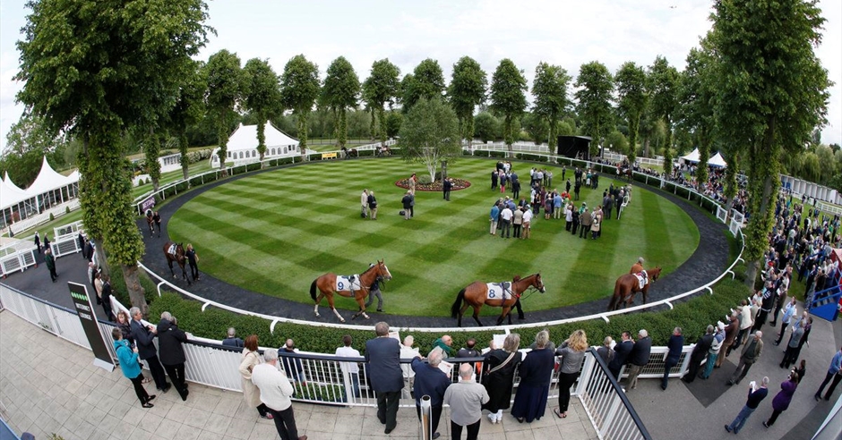 Royal Windsor Racecourse - Visit Windsor