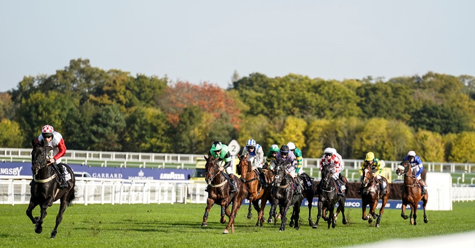 Fireworks Spectacular Family Raceday at Ascot Racecourse - Visit Windsor