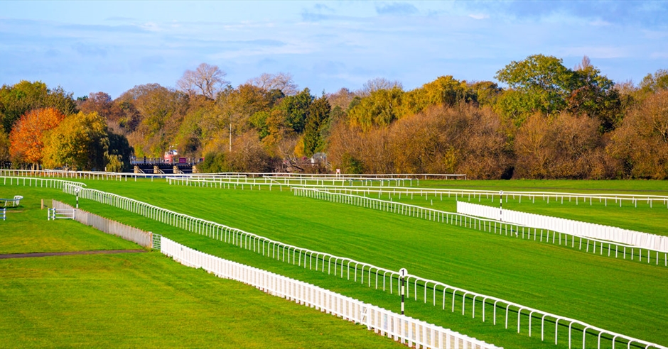 Royal Windsor Racecourse - Visit Windsor